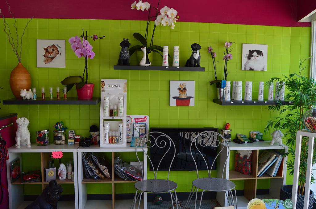Decoration de salon simple