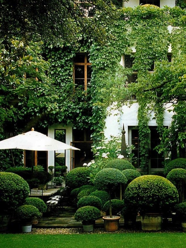 Decoration jardin buis